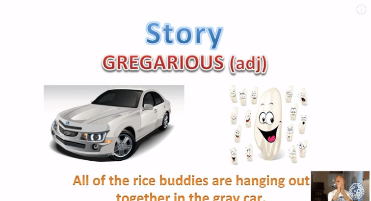 Gregarious | An Empowered Mind